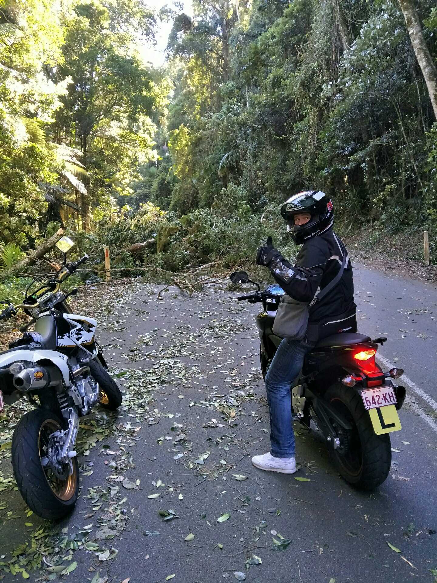 after the twister-mt glorious