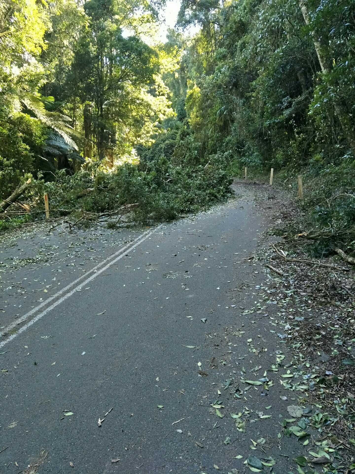 after the twister-mt glorious